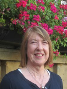 Transition Marlborough faces a major shock as its new chair Shirley ...