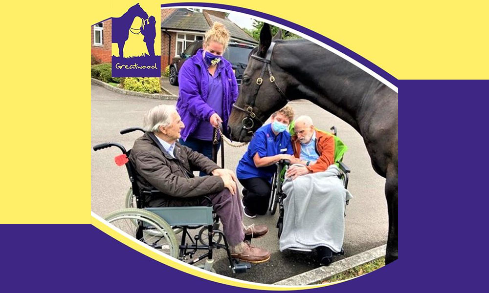Charity pilot to introduce former racehorse Ouzbeck to Marlborough Care ...