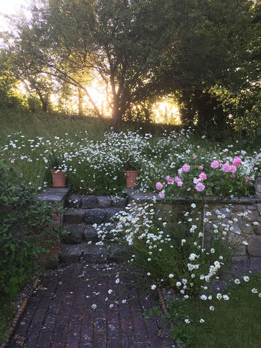 How Does Your Garden How Does Your Garden Grow? 'Ask the expert' talk ...