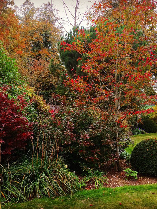 How Does Your Garden How Does Your Garden Grow? 'Ask the expert' talk ...