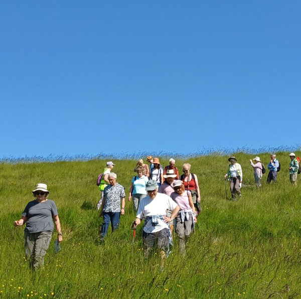 North Wessex Downs Walking Festival - The natural history of Ranscombe ...