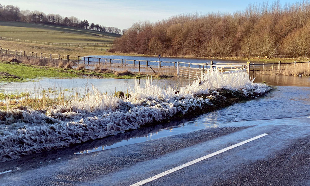 December weather: warm, minimal frost but damp and grey - Marlborough News